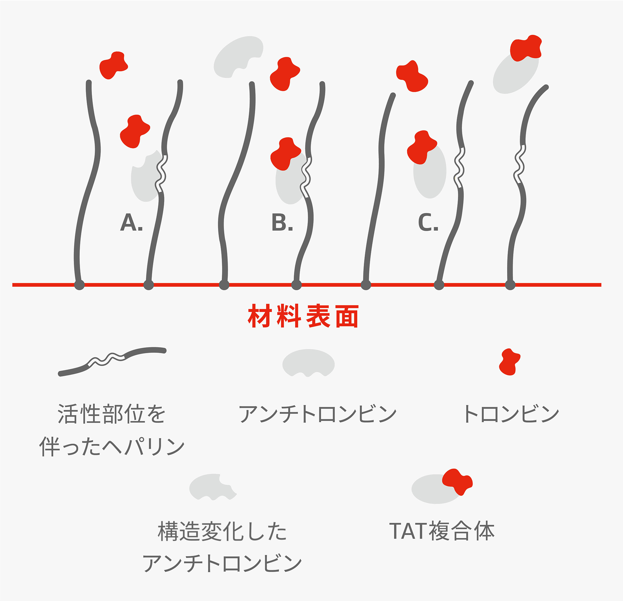CBAS® Heparin Surface | 日本ゴア メディカル製品