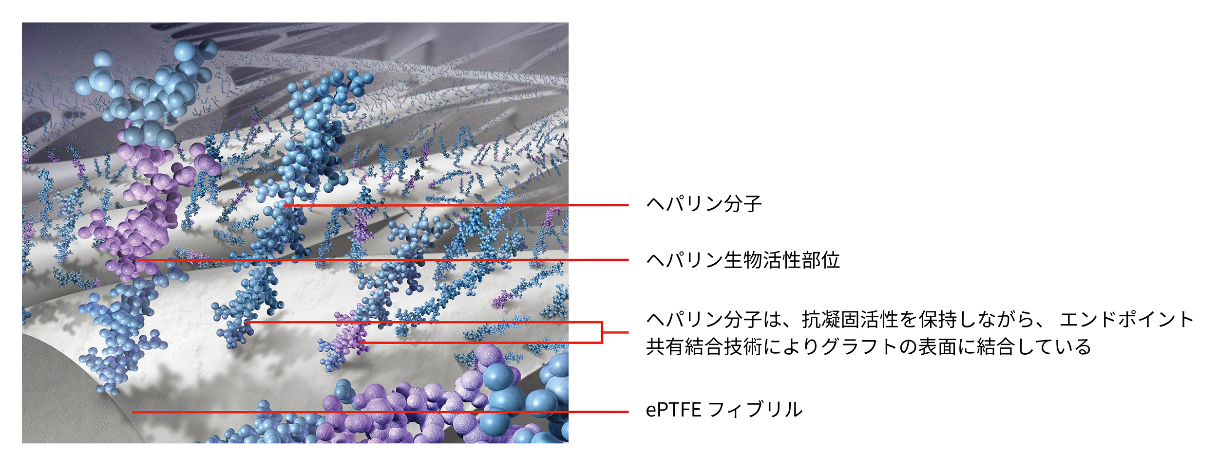 CBAS® Heparin Surface | 日本ゴア メディカル製品
